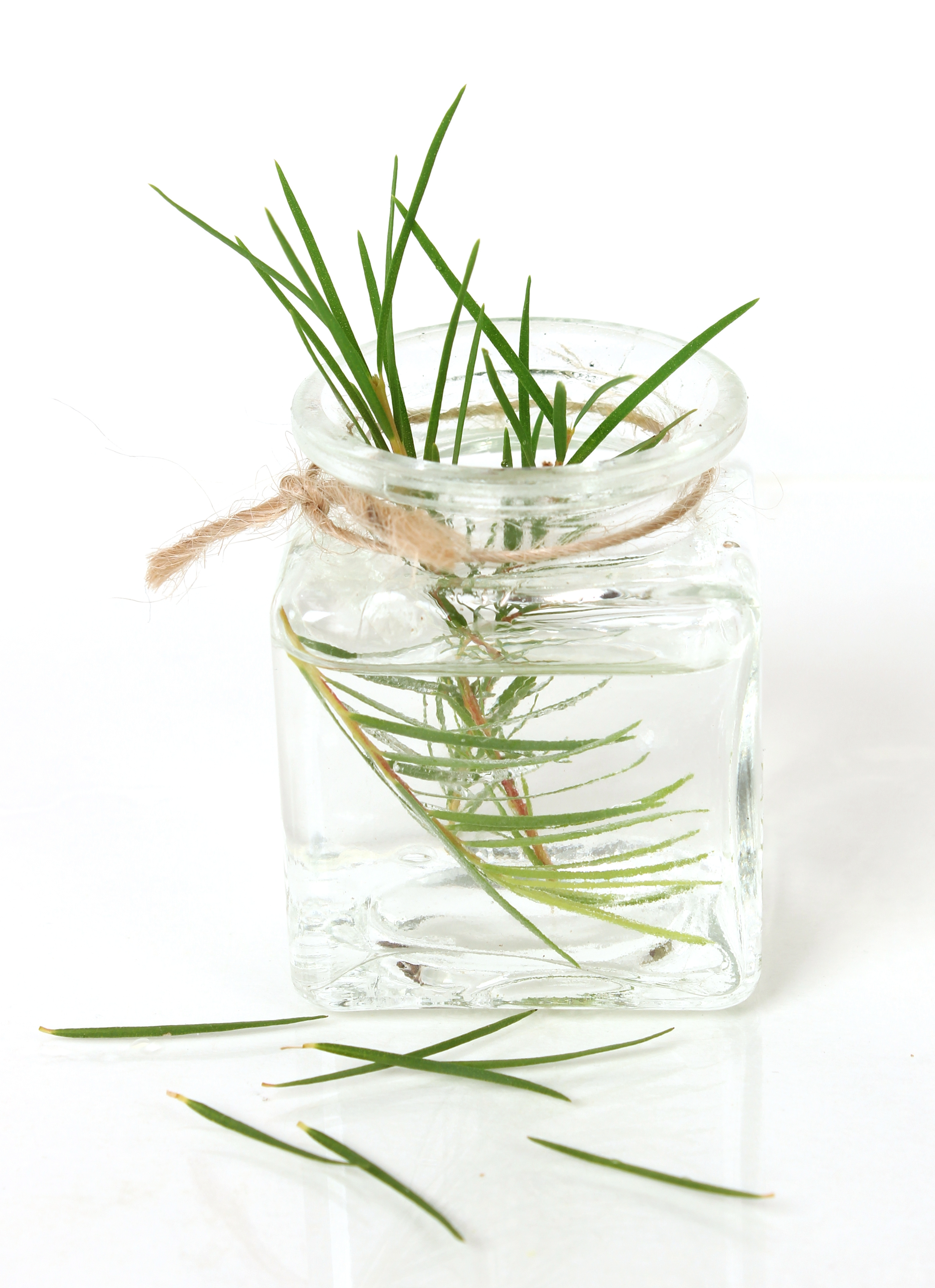Buy Tea Tree Skincare Products | Cleanser, Moisturizer, Serum – tagged ...